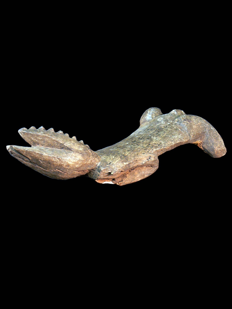 Mythic animal Dogon crocodile (2036) - African statues : tribal fetish ...