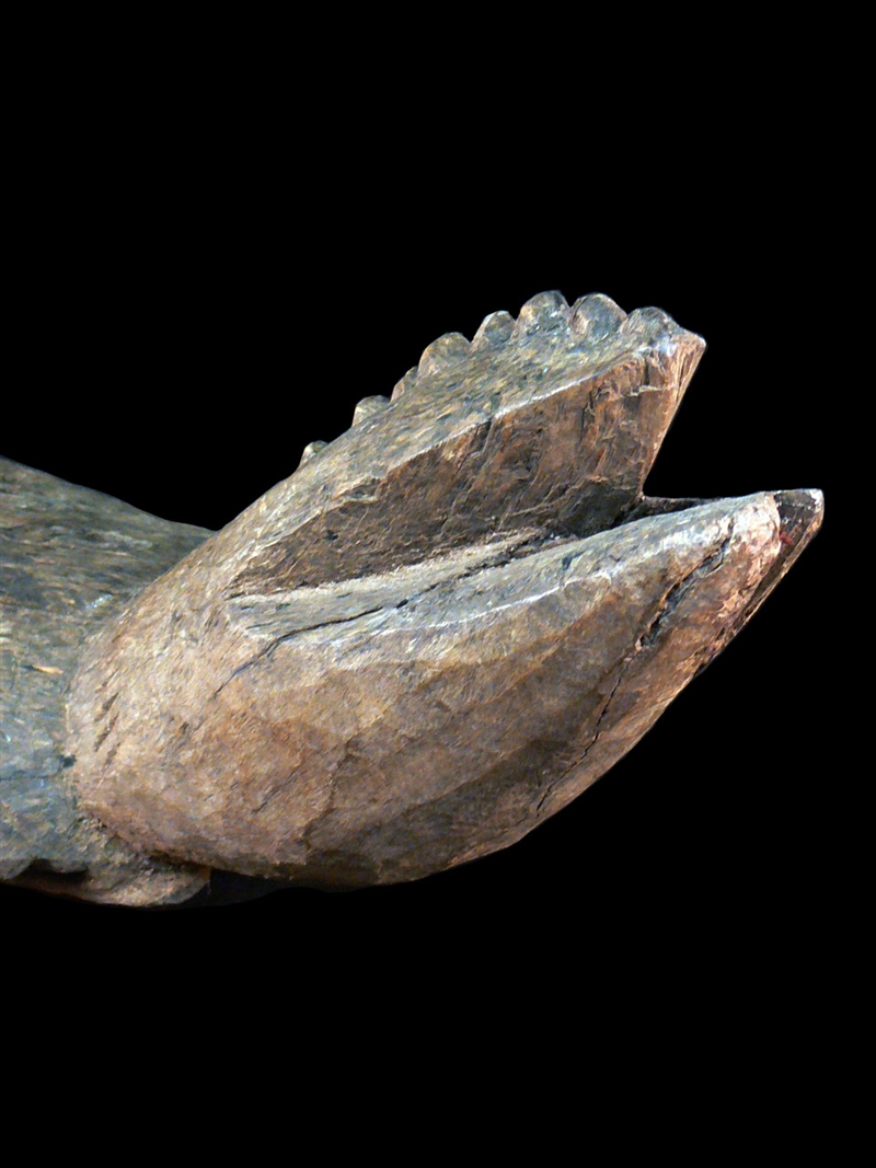 Mythic animal Dogon crocodile (2036) - African statues : tribal fetish ...