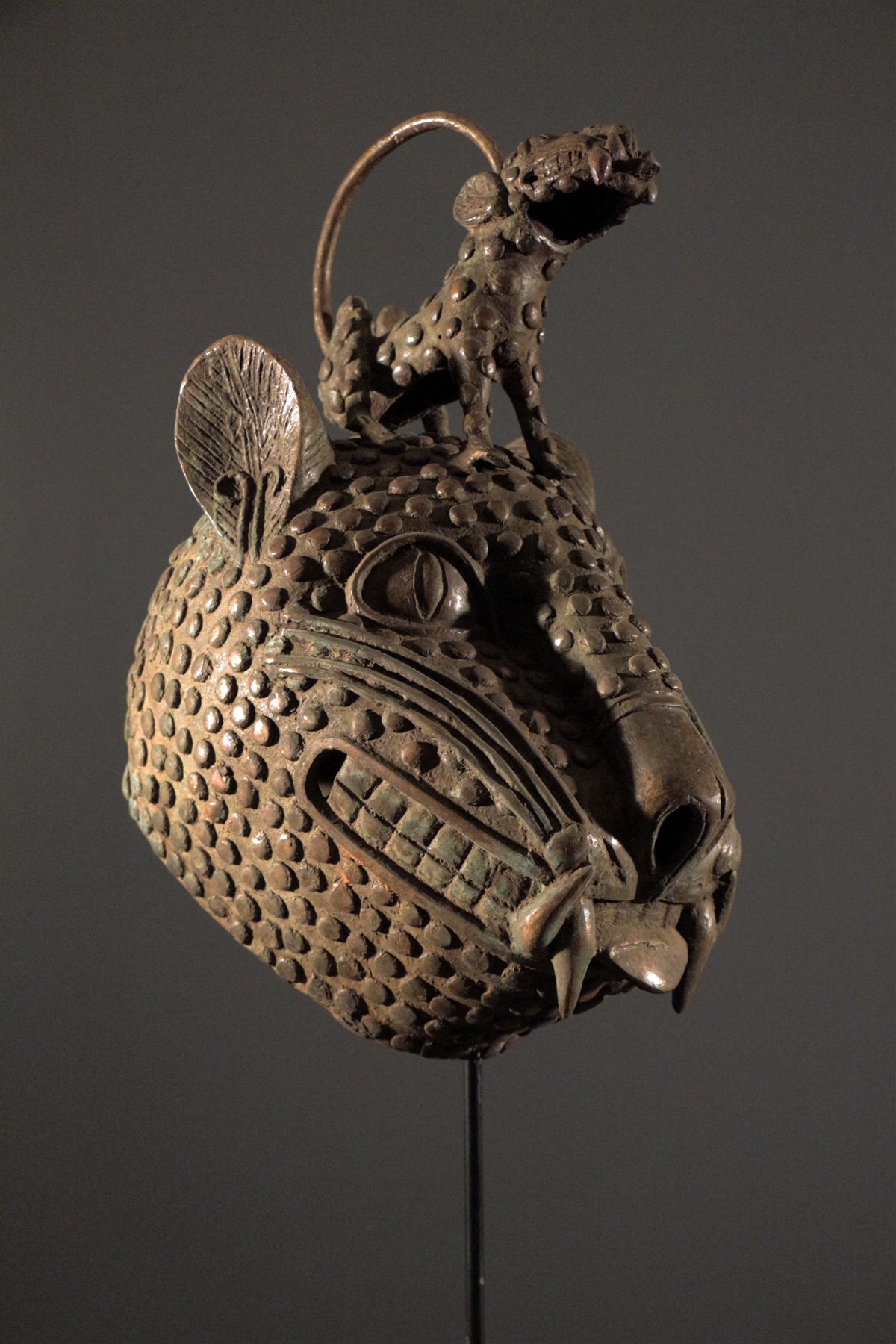 Grande tête de léopard Benin Bini Edo (7039) - Bronze africain